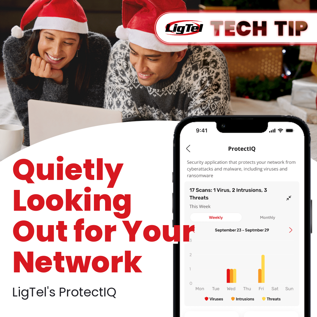 Tech Tip # 6 Internet Protection - LigTel